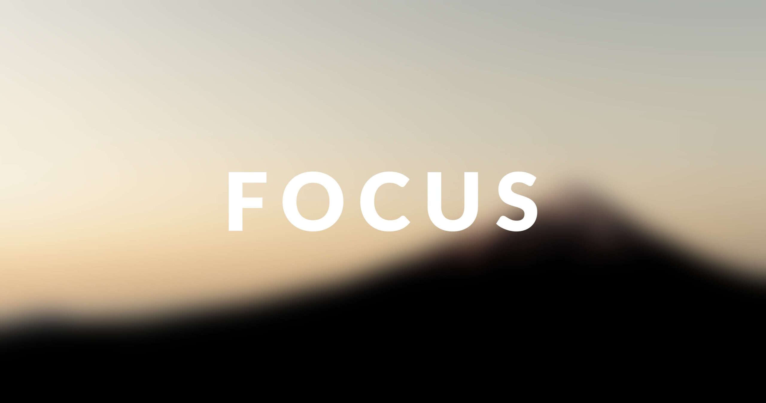 Focus株式会社 | Focus.inc